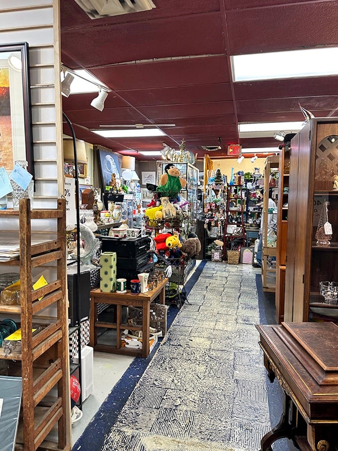 Step into this narrow aisle and prepare for time travel. Every shelf holds someone's past waiting to become part of your future.