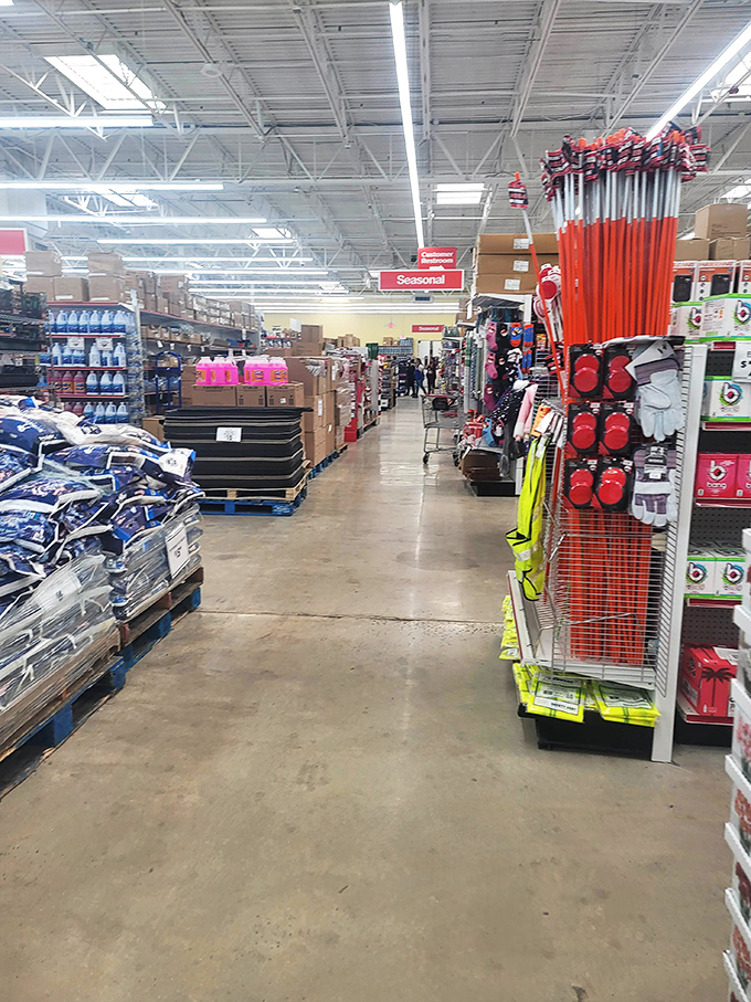 Navigating these aisles feels like a treasure hunt designed by a genius with ADHD. Every turn reveals something you never knew you needed.