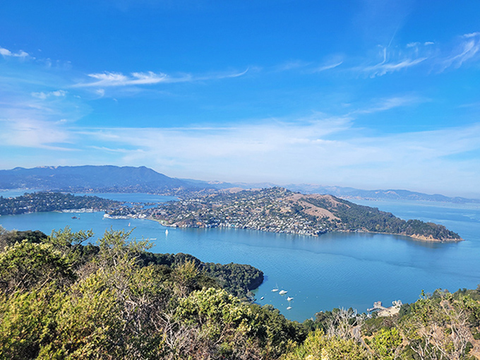 Nature's IMAX theater unfolds across the bay, where Marin's hills meet San Francisco's skyline in a panorama worth every step of the climb.