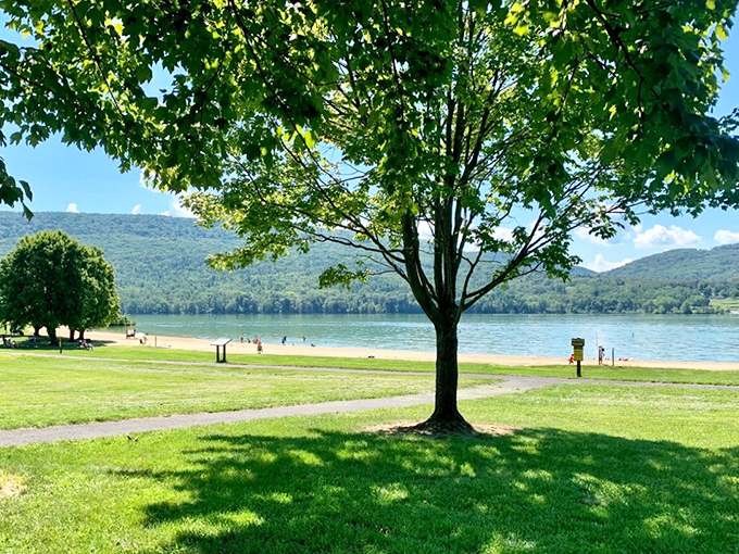 Summer perfection framed by leafy branches&mdash;where Pennsylvania's mountains meet pristine waters in a landscape that belongs on a postcard.