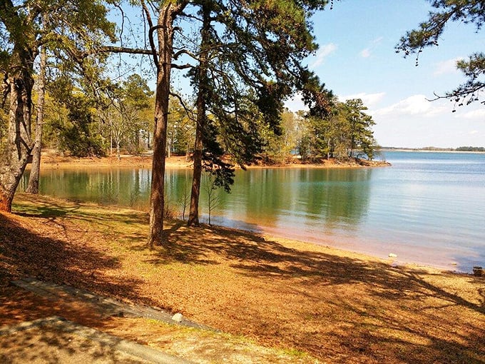 Mother Nature's beach resort comes with pine-scented air conditioning and a water view that beats any five-star hotel.