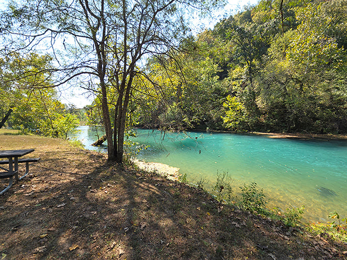The Current River's impossibly clear turquoise waters might make you think you've teleported to the Caribbean&mdash;except the Ozark hills give away the secret.