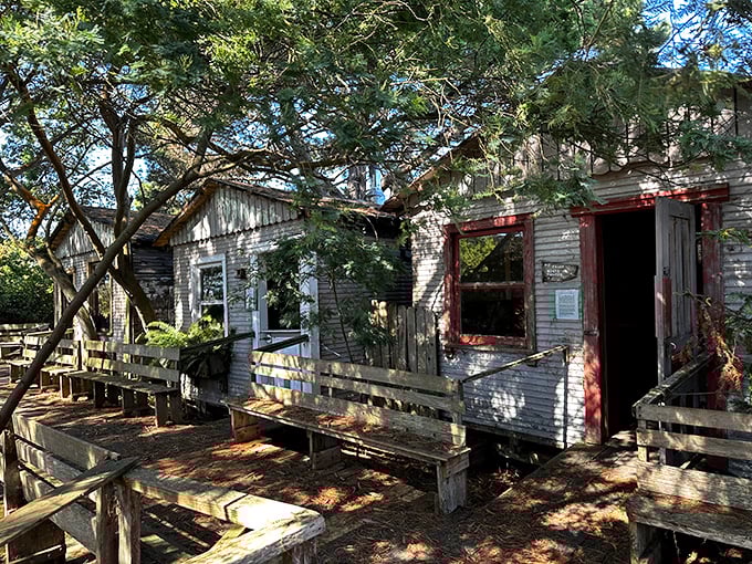 This weathered wooden structure whispers tales of Eureka's rugged past. Like finding an old love letter in your attic, it's a tangible connection to simpler times.