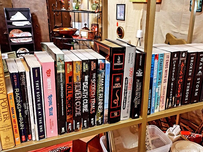 Literary gold mines await between these covers. From Stephen King to classic thrillers, someone's favorite book is hiding here.