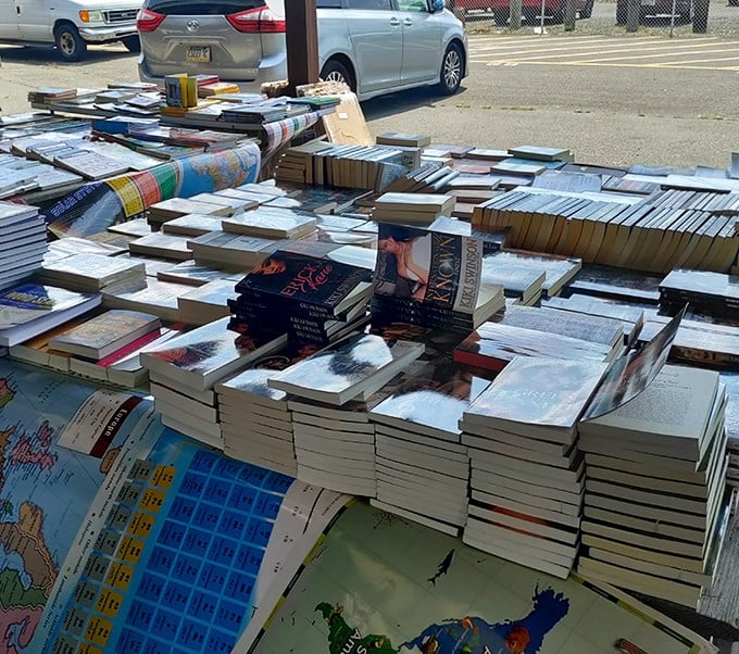 Literary treasures stacked high for the taking. One person's discarded paperback is another's weekend escape&mdash;all without the Amazon delivery wait.