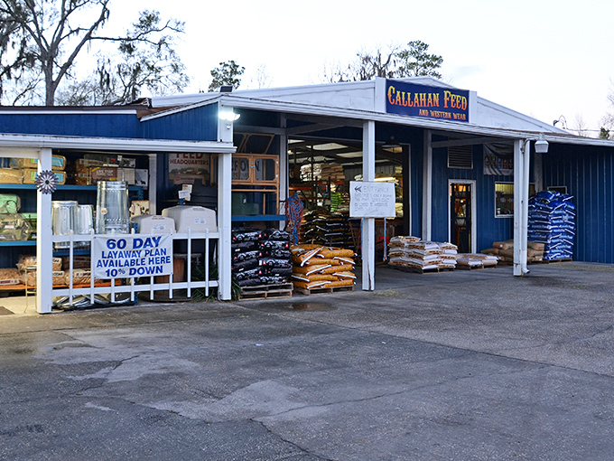At Callahan Feed & Western Store, even city slickers can embrace their inner cowboy. This local institution serves both practical farmers and curious retirees alike.