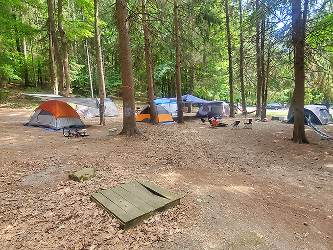 Camping nirvana achieved. Colorful tents dot the pine-scented forest floor like a grown-up version of the blanket forts we never outgrew.