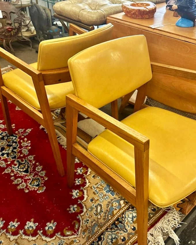 These mustard-yellow mid-century chairs aren't just furniture &ndash; they're time machines waiting to transport your living room back to the Mad Men era.
