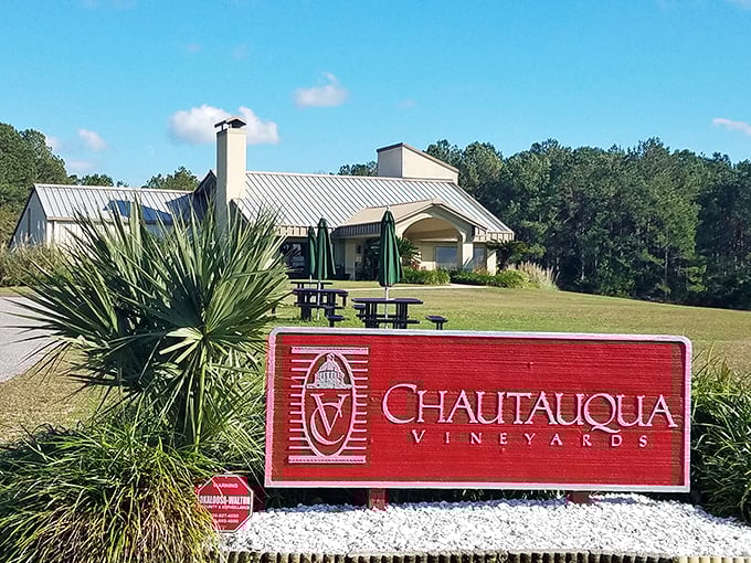 Chautauqua Vineyards brings unexpected wine country vibes to the Panhandle &ndash; who knew muscadines could be this sophisticated?