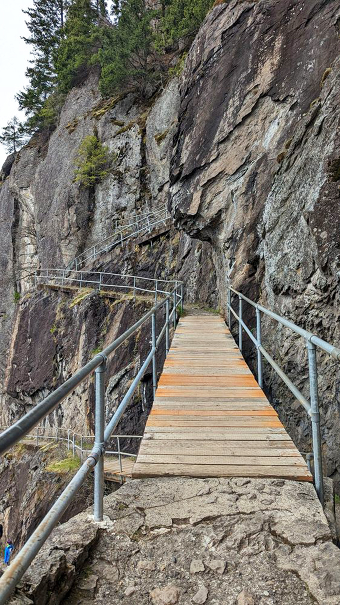 Those metal walkways clinging to the cliff face look intimidating, but they're actually your ticket to some seriously unforgettable views.