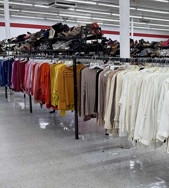 A rainbow of possibilities hangs in perfect chromatic order, with shoes perched above like curious spectators waiting for their moment.