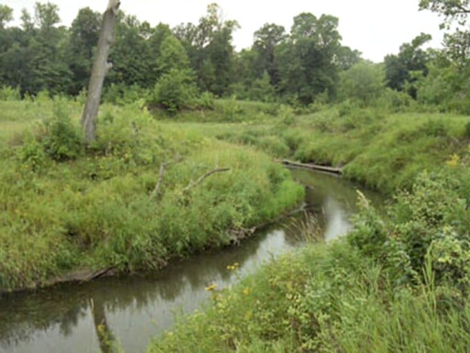 The Tongue River meanders through town like a lazy Sunday afternoon, offering peaceful spots for fishing or just watching the world drift by.