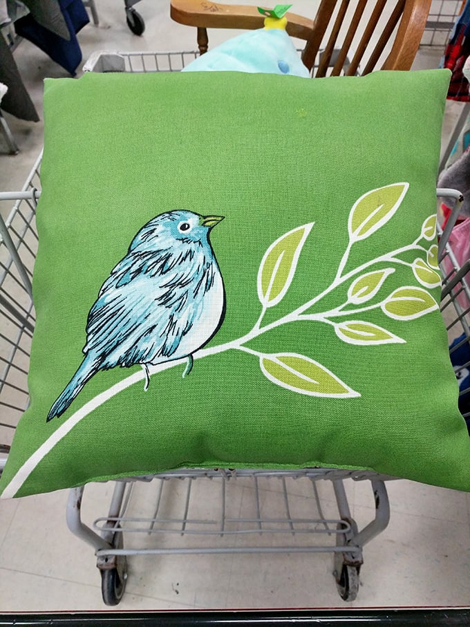 This cheerful bird pillow isn't just decor—it's the kind of unexpected find that makes thrifting an emotional rollercoaster of joy.