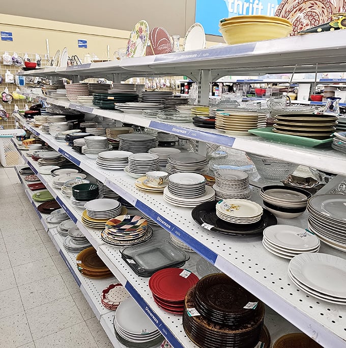 Dish paradise awaits! Rows upon rows of plates, bowls, and serving pieces create a ceramic wonderland where mismatched becomes the new matching.