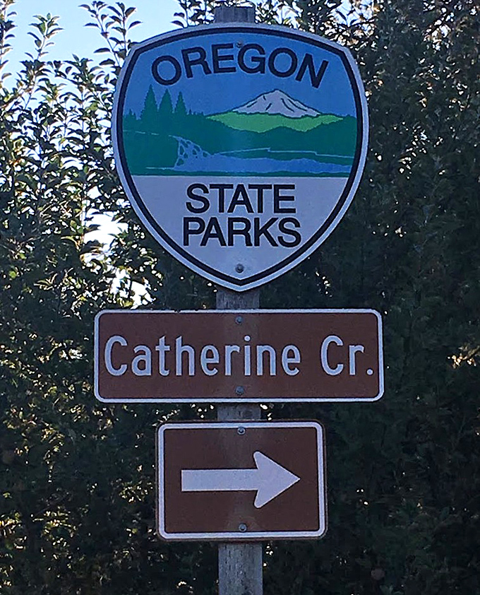 "This way to paradise" – the unassuming sign that separates ordinary road trips from unforgettable adventures.