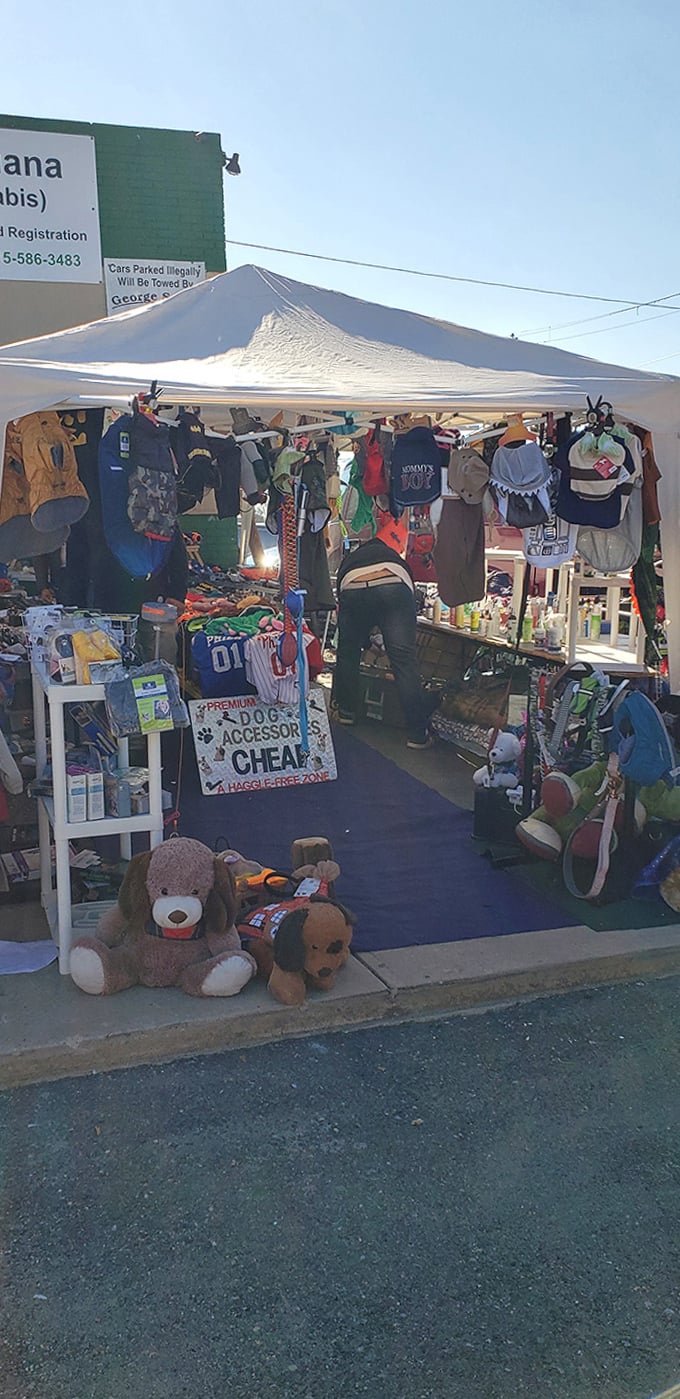 Every dog has its day at this pet accessory booth, where plush companions guard an impressive array of bargain-priced gear.