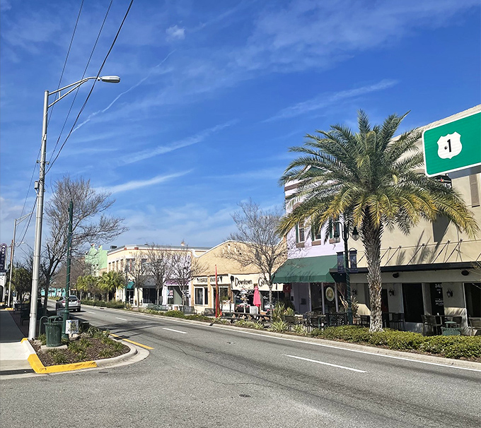 Palm trees and pastel storefronts create that "Old Florida" vibe where people actually stroll instead of sprint. Remember strolling?