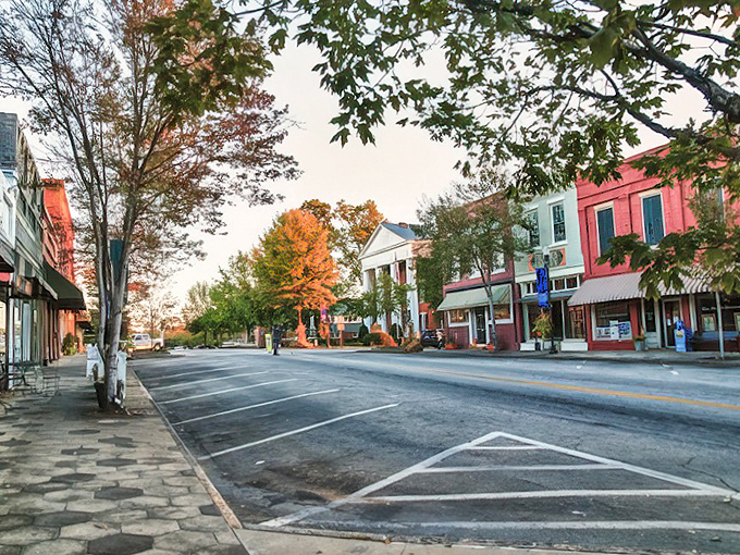 Fall in Greensboro transforms downtown into a painter's palette. Those trees aren't showing off; they're just living their best autumn life.