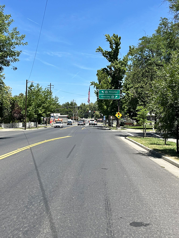 Small-town charm meets California sunshine on Colusa's main thoroughfare. Road signs point to nearby communities, but locals know they've already found home.