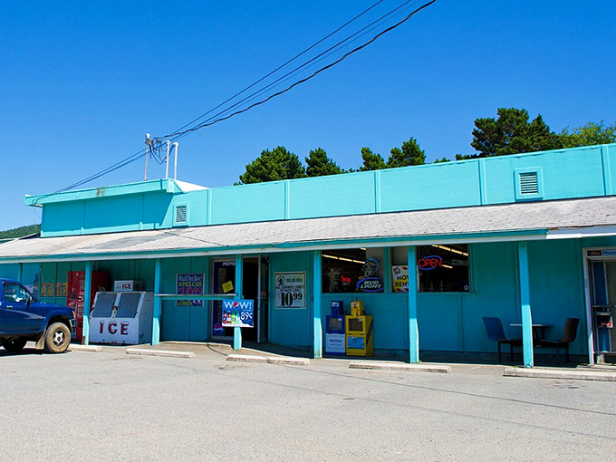 The turquoise market stands as Nesika's beating heart, where locals swap fishing tales and visitors discover the true meaning of "essential groceries."