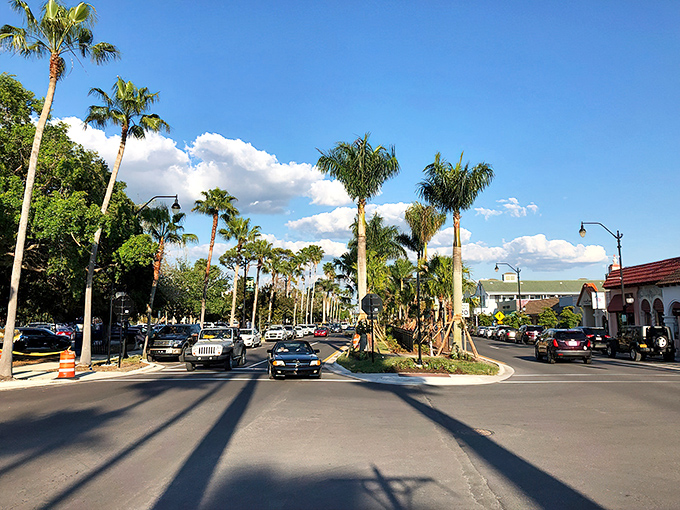Palm trees standing like nature's exclamation points along Venice Avenue. This is Main Street America with a tropical twist.