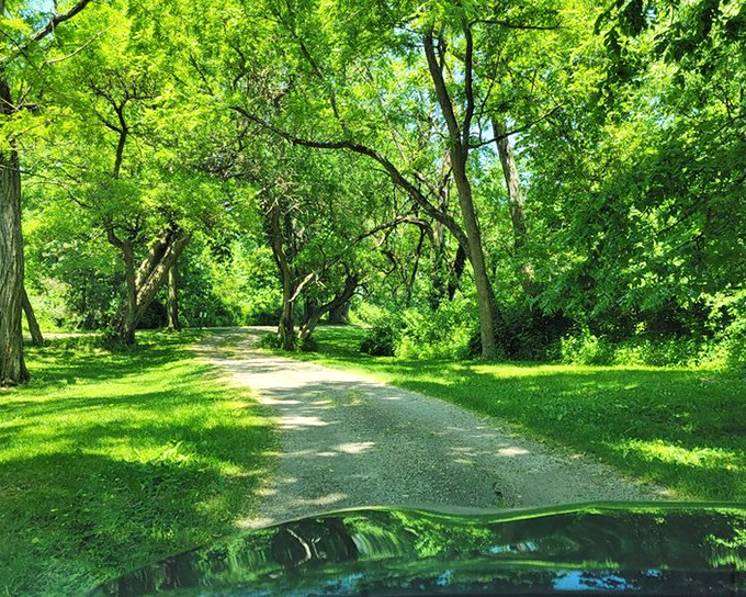 Nature's green cathedral frames this winding path to adventure. Walking these grounds feels like stepping into a secret garden from another century.