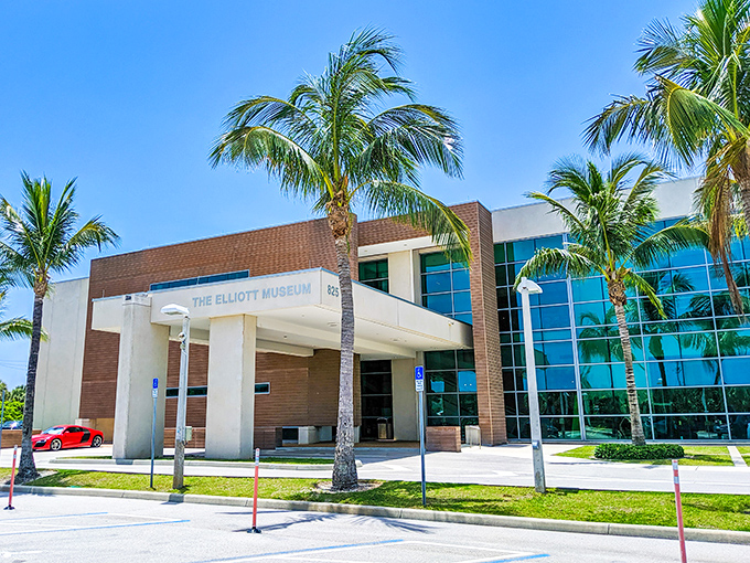 The Elliott Museum's modern architecture houses treasures of the past, where palm trees stand guard over Florida's cultural history like elegant docents.