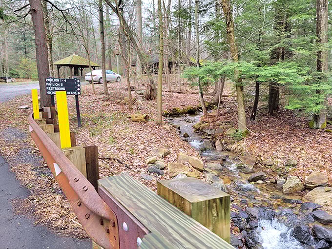 Nature's welcome mat: A babbling brook greets visitors alongside the path, whispering promises of tranquility ahead.