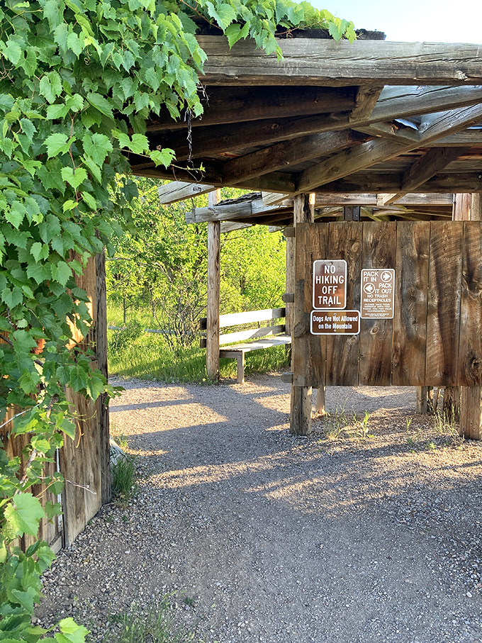 Nature's welcome mat: this vine-draped trail entrance feels like stepping through a portal to another world, complete with "stay on path" reminders.