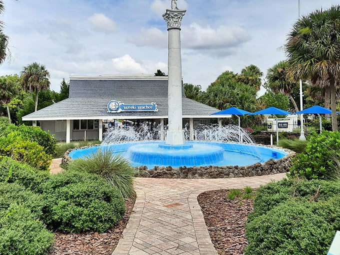 A picture-perfect welcome fountain greets visitors with dancing water and tropical landscaping. This entrance sets the stage for the vintage Florida magic that awaits inside.