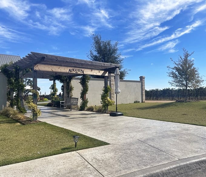 The entrance beckons with rustic elegance – a wooden archway draped in vines that whispers, "The good stuff is this way, folks."