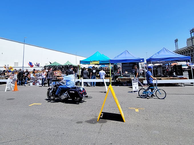 Under the California sun, colorful canopies create an impromptu city of curiosities. Even motorcyclists pause to admire what might be inside.