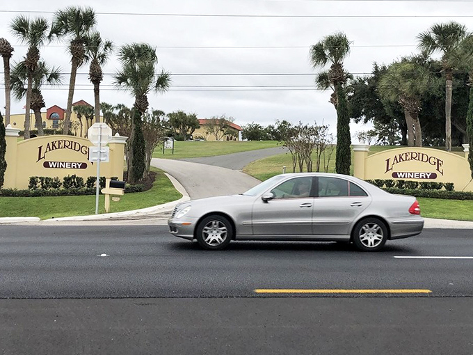 Palm trees flank the entrance like tropical bouncers guarding Florida's unexpected wine paradise&mdash;a delightful contradiction in botanical terms.