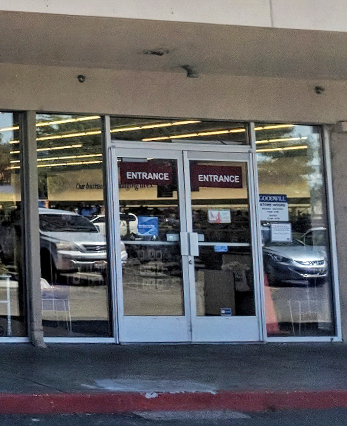 These doors might as well be labeled "Portal to Possibilities"—each trip through them promises different treasures than the last.