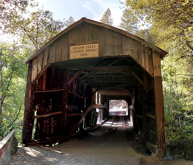 Step inside and suddenly you're in a wooden cathedral where the only sermon is the sound of creaking timbers.