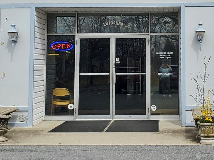 "Open" beckons like a siren song to treasure hunters. Behind these unassuming doors lies a universe of memories waiting to be rediscovered.