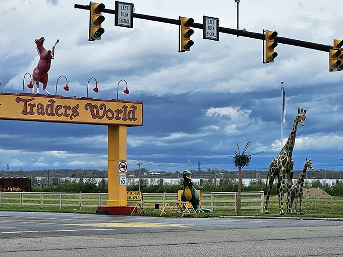 Nothing says "we're not in Kansas anymore" quite like a yellow entrance sign featuring a rearing horse and life-sized giraffe. Ohio's roadside whimsy at its finest.