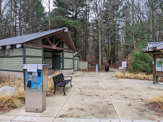 Nature's reception area: clean facilities nestled among towering pines, where civilization meets wilderness on respectful terms.