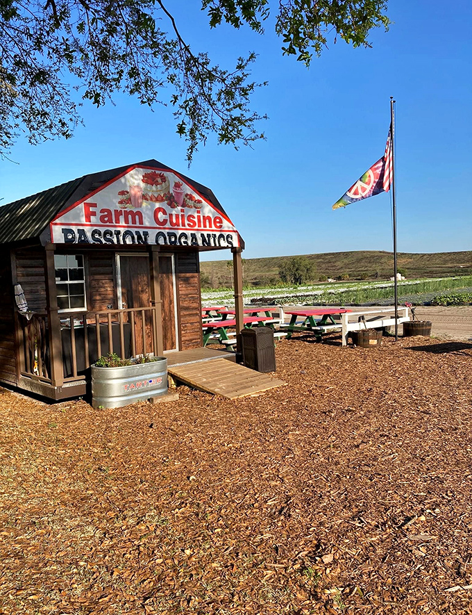 The quintessential farm stand experience awaits at this rustic wooden outpost, where "Farm Cuisine" isn't just a sign – it's a delicious promise.