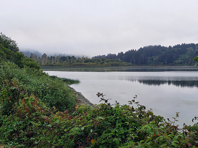 Fog playing hide-and-seek with the landscape. This misty morning transforms the lagoon into a mysterious realm where time seems to stand still.