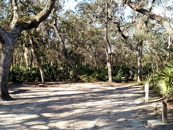 This sandy path whispers promises of adventure as ancient oaks draped in Spanish moss create nature's most inviting archway.