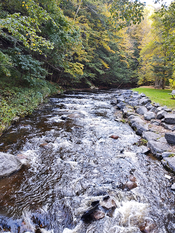 Whetstone Creek dances over ancient stones, its gentle melody a soundtrack to your afternoon. The perfect spot for contemplative rock-hopping.