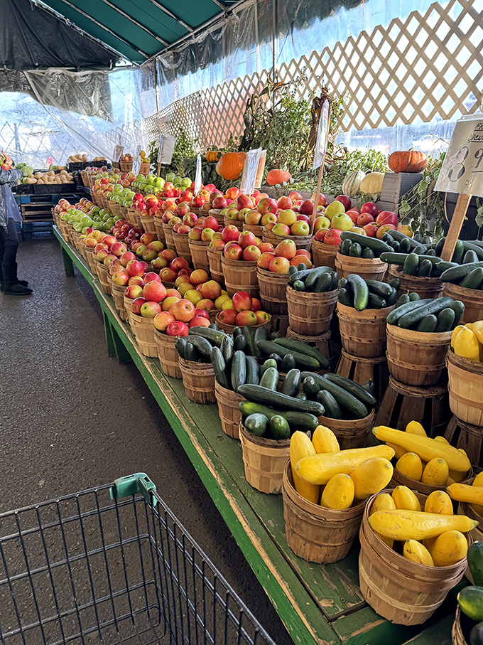 Nature's color palette on full display—these farm-fresh fruits and vegetables weren't trucked across continents but harvested from nearby fields.