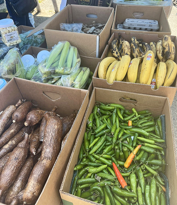 Nature's colorful currency: fresh produce at prices that'll make your supermarket receipt look like highway robbery.