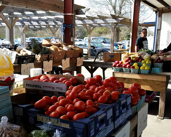 Nature's candy store! These tomatoes didn't spend two weeks on a truck&mdash;they probably woke up this morning in a Mississippi garden.