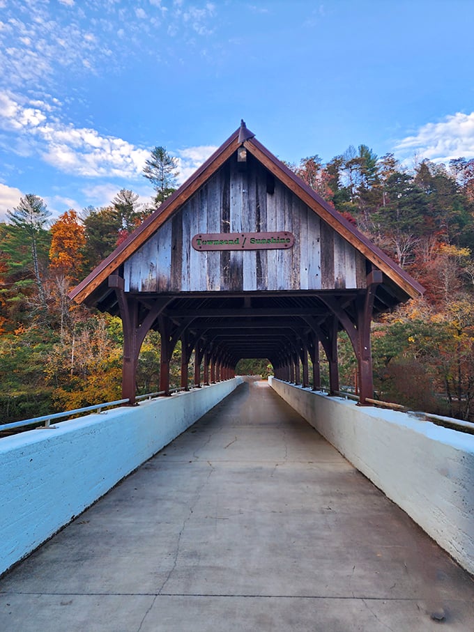 Looking through the tunnel-like passage feels like peering into a wooden kaleidoscope, with autumn colors framing the perfect shot at the other end.