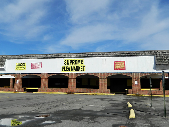 The unassuming storefront hides a universe of possibilities within. Like finding a five-star restaurant in a gas station, appearances can be deliciously deceiving. 