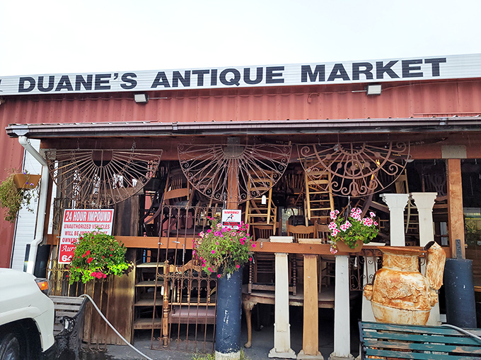 Wrought iron gates and blooming flowers create an inviting entrance that whispers, "Come in, the treasures are waiting."
