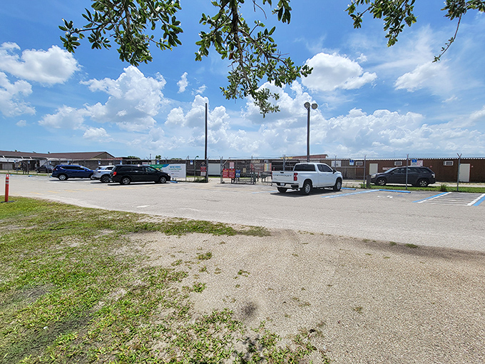 Florida sunshine gleams off the parking area where adventure begins. Even the lot hints at the scale of shopping possibilities waiting inside.