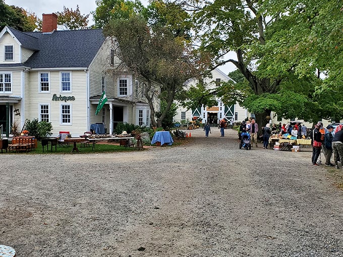 The classic white farmhouse stands sentinel over decades of deal-making, its weathered clapboards having witnessed countless Sunday morning negotiations.